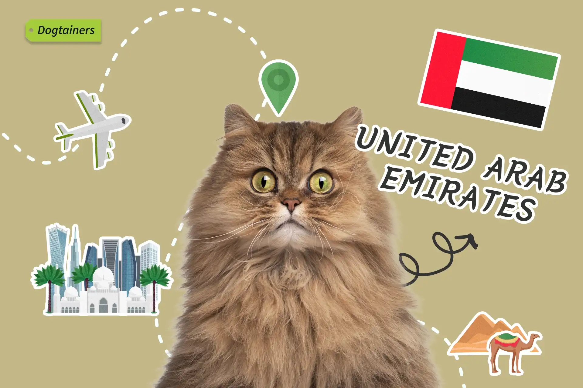 2023 International Pet Transport between UK & UAE
