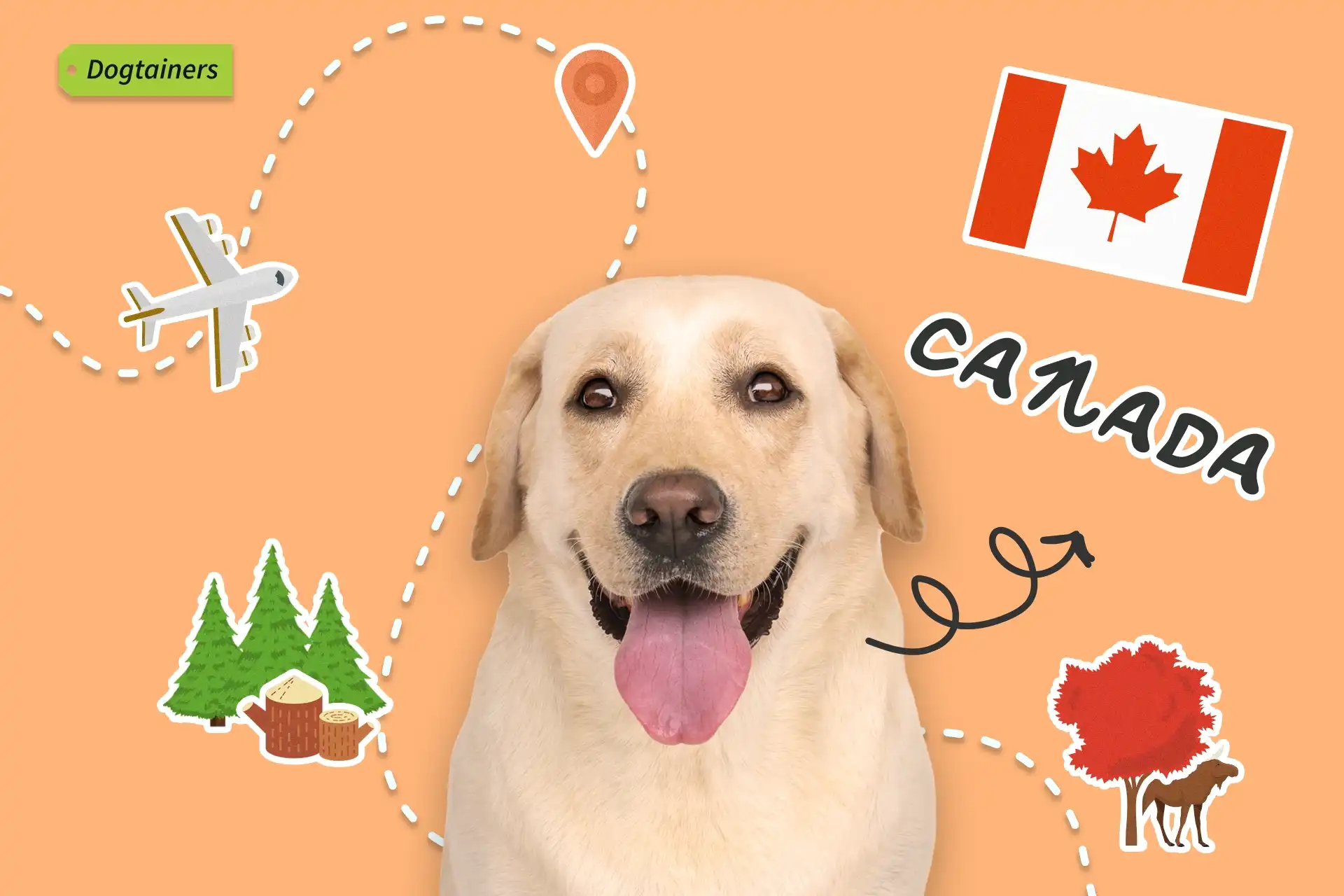 Canada International Pet Transport - Pets Abroad UK